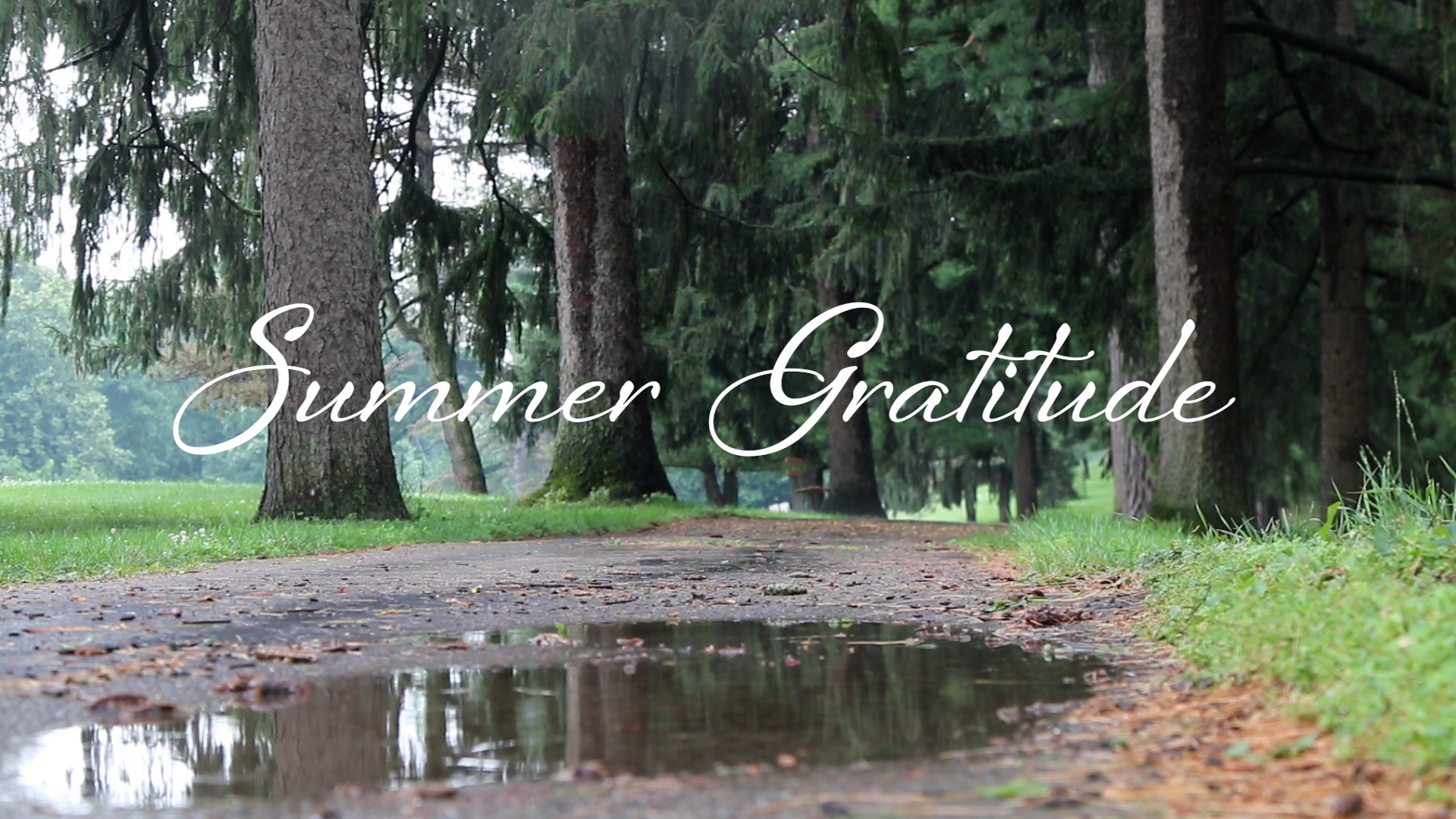 Pondering: Summer Gratitude - Sisters of Charity of the Blessed Virgin Mary