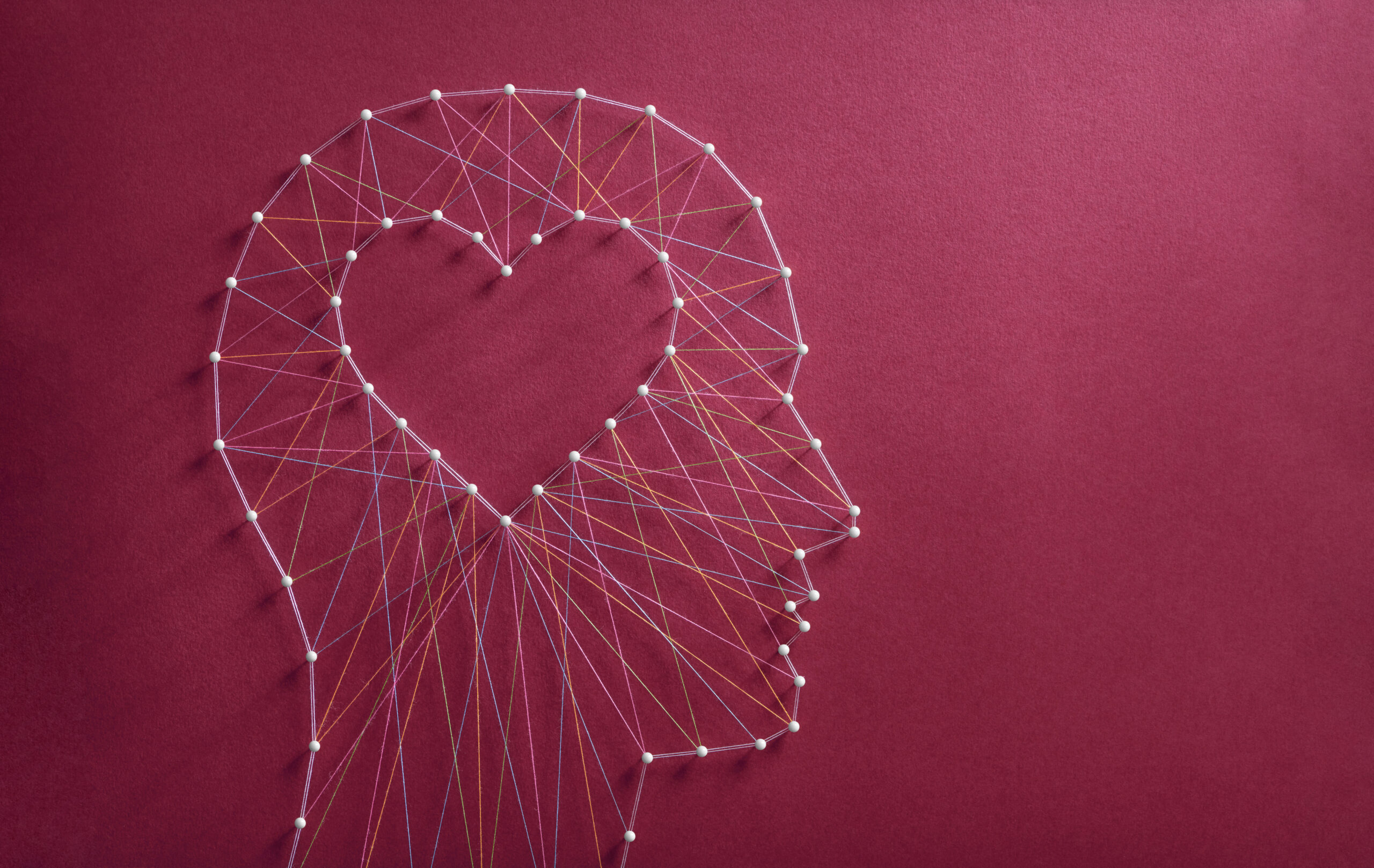 Reflection: Cultivating Compassion - Sisters of Charity of the Blessed ...