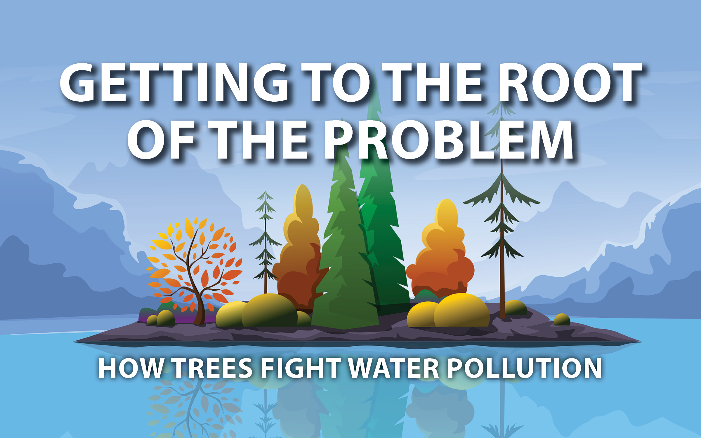 June Reflection: Getting to the Root of the Problem: How Trees Fight ...